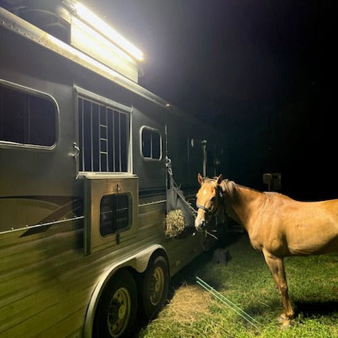 Horse Trailer Side Mount Light - 10,000 Lumens – Pit Viper Lights